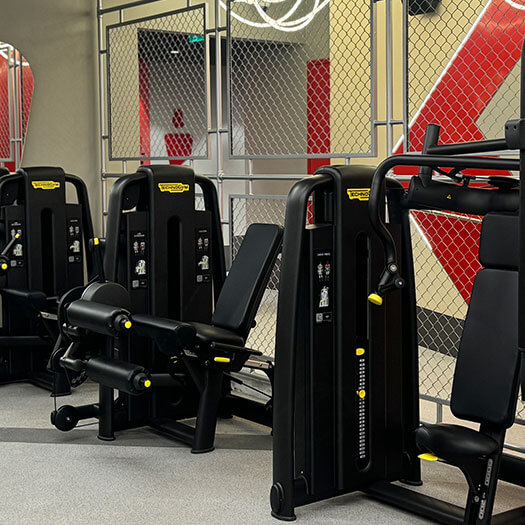 Renowned for their presence in the most exclusive celebrity gyms ...