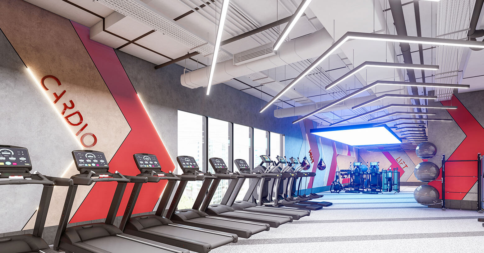 CARDIO SECTION